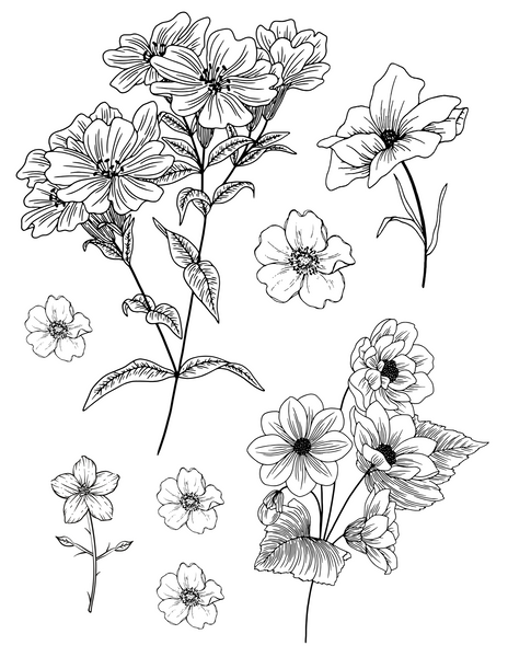 [DIGITAL DOWNLOAD] Sublimation Coloring Book: Floral | Artesprix