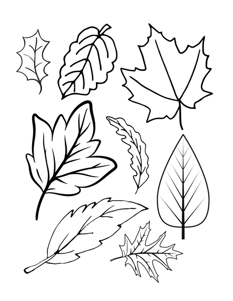 [DIGITAL DOWNLOAD] Sublimation Coloring Book: Fall & Halloween | Artesprix